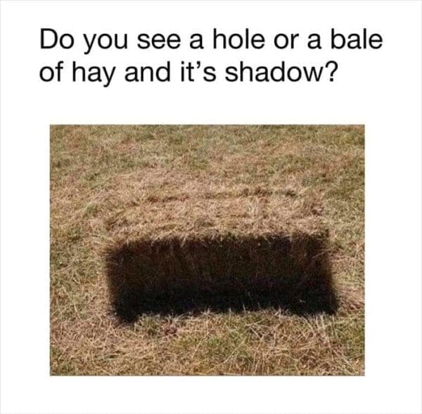 43 Optical Illusion Memes That Will Totally Mess With Your Eyes