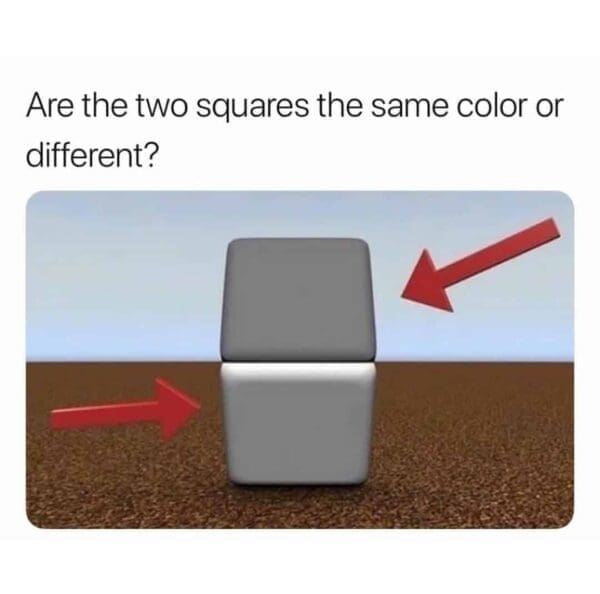 43 Optical Illusion Memes That Will Totally Mess With Your Eyes
