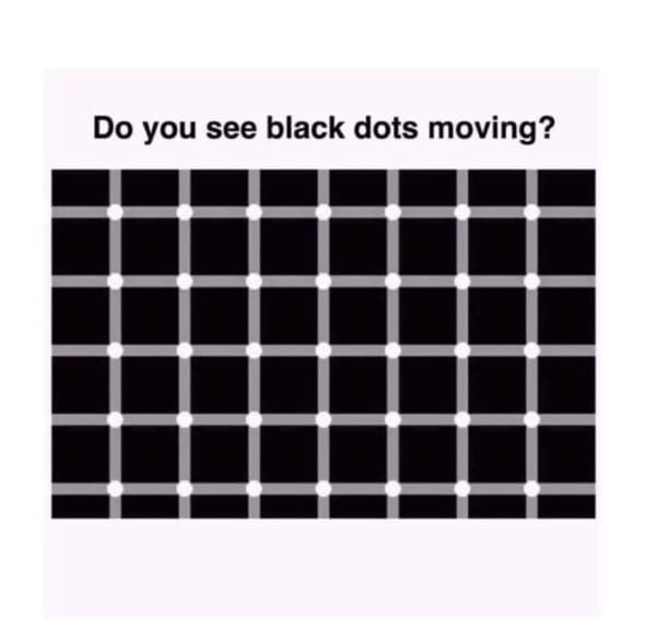 43 Optical Illusion Memes That Will Totally Mess With Your Eyes