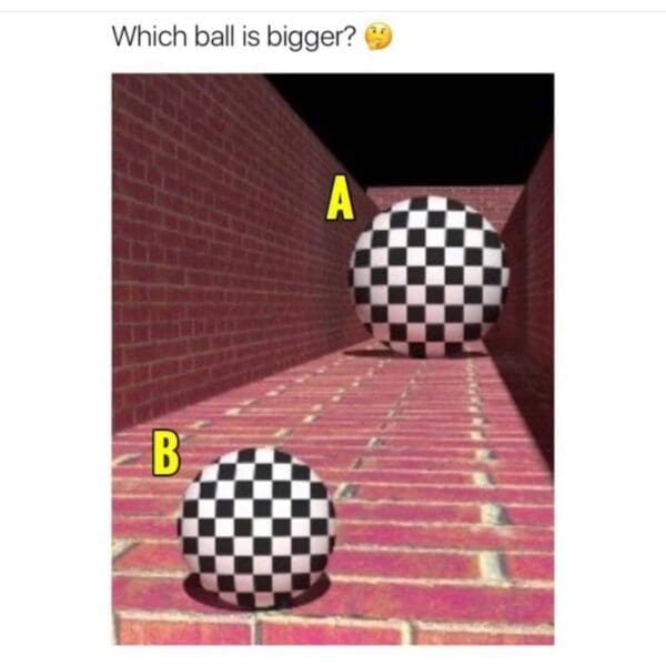 43 Optical Illusion Memes That Will Totally Mess With Your Eyes