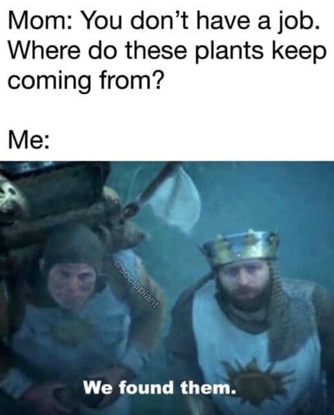 35 Plant Memes for People Who Struggle to Keep Their Plants Alive