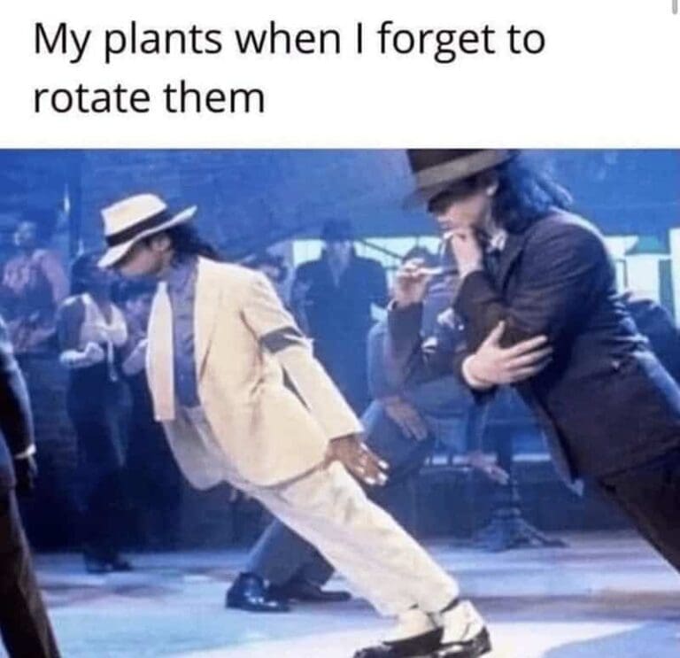 35 Plant Memes for People Who Struggle to Keep Their Plants Alive