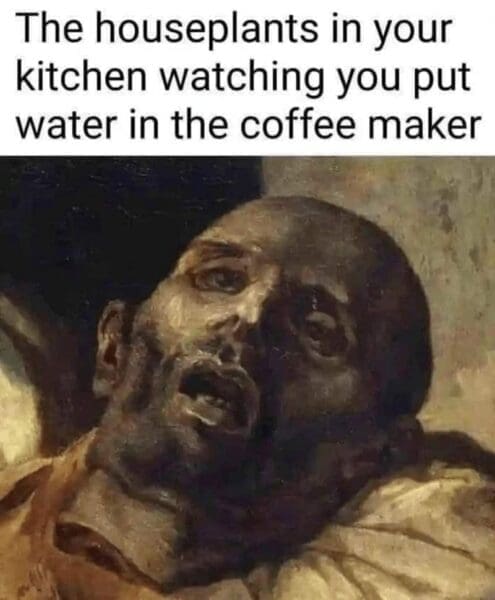 35 Plant Memes for People Who Struggle to Keep Their Plants Alive