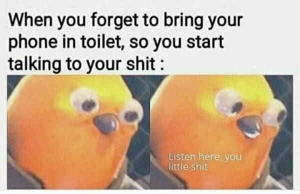Poop Memes: 35 Toilet Memes And Real Weird Toilets