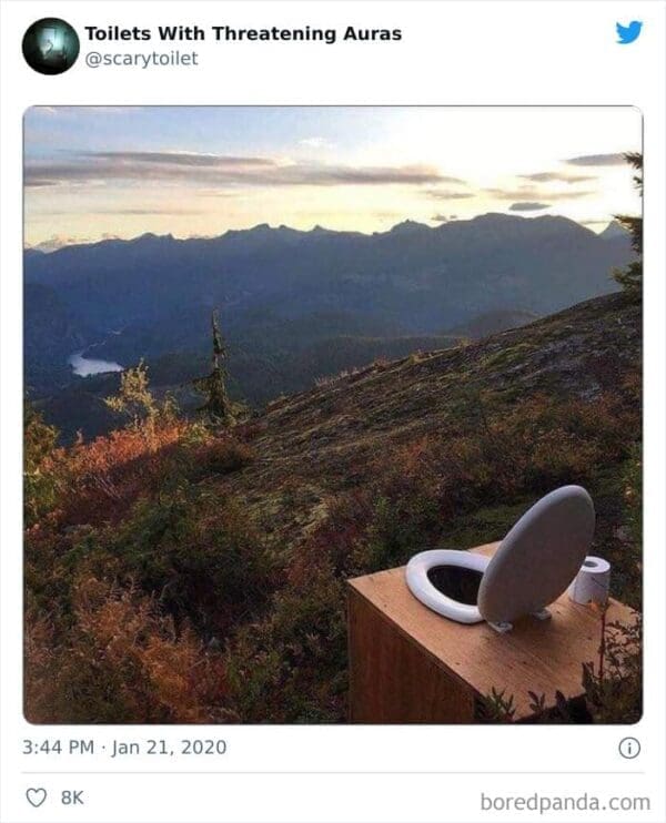 Poop Memes: 35 Toilet Memes And Real Weird Toilets