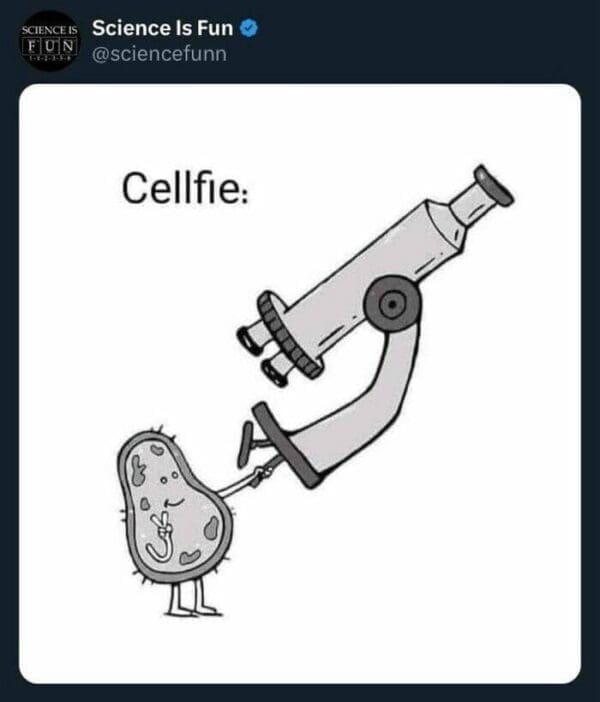 Science Memes: 45 Memes for the Lab Coat Crowd