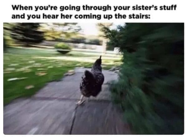 Sister Memes: 29 Gems About Sisterly "Love"