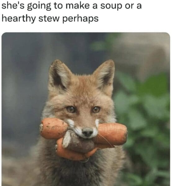 42 Soup Memes That Will Warm Your Icy Soul This Season