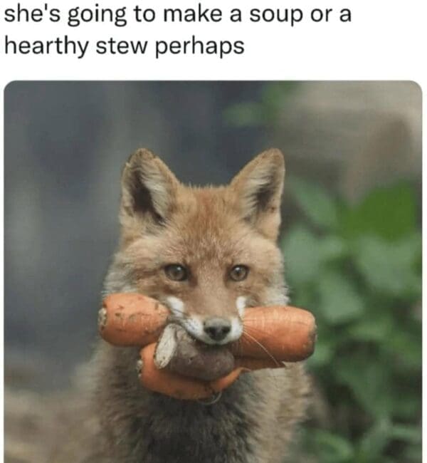 42 Soup Memes That Will Warm Your Icy Soul This Season