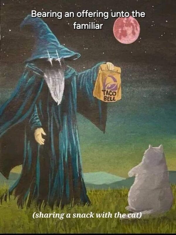 40 Wizard Memes: The Internet’s Newest Magical Obsession