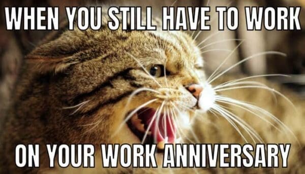 45 Work Anniversary Memes for Employees Hanging On for Dear Life