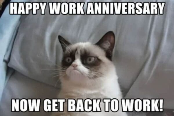 45 Work Anniversary Memes for Employees Hanging On for Dear Life