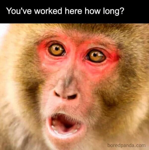 45 Work Anniversary Memes for Employees Hanging On for Dear Life