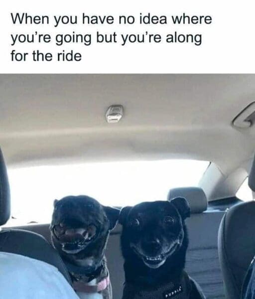 These 40 Good News Memes Are the Dose of Positivity You Didn’t Know You ...