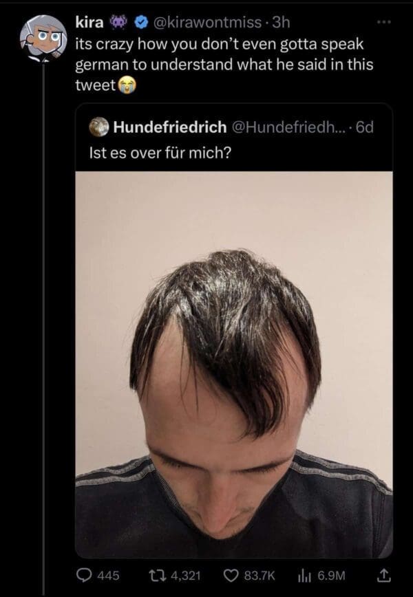 Bald Memes: 30 Memes Appreciating the Bald Fellas