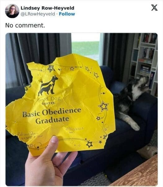 British Memes: 50 UK Memes That Brits Will Understand