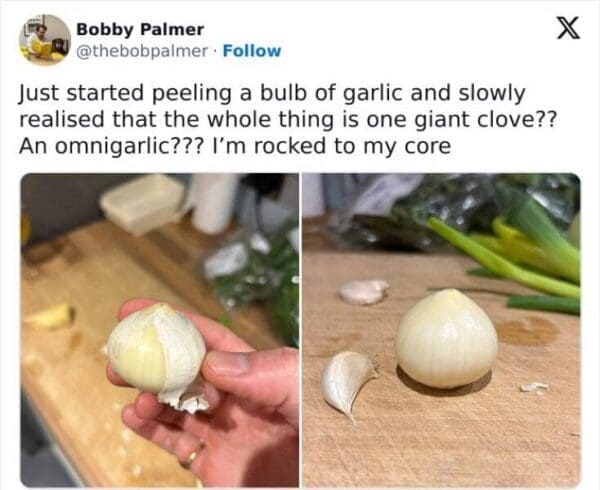 British Memes: 50 UK Memes That Brits Will Understand
