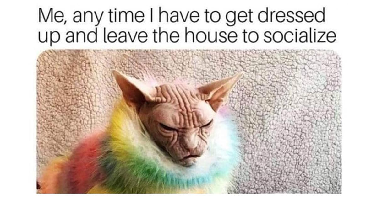 Classic Memes: 25 Funny Memes and Tweets From The Past