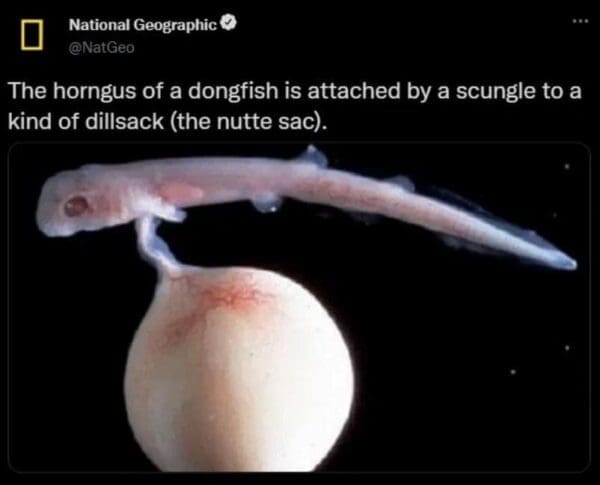 35 Bizarre Cursed Tweets That Will Have You Questioning the Internet
