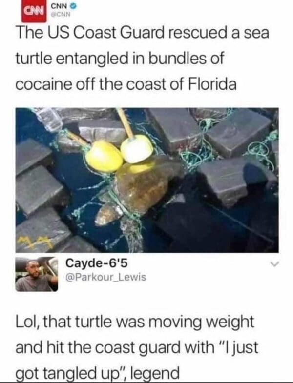 Dark Humor Memes: 43 Memes That Are Hilariously Bleak