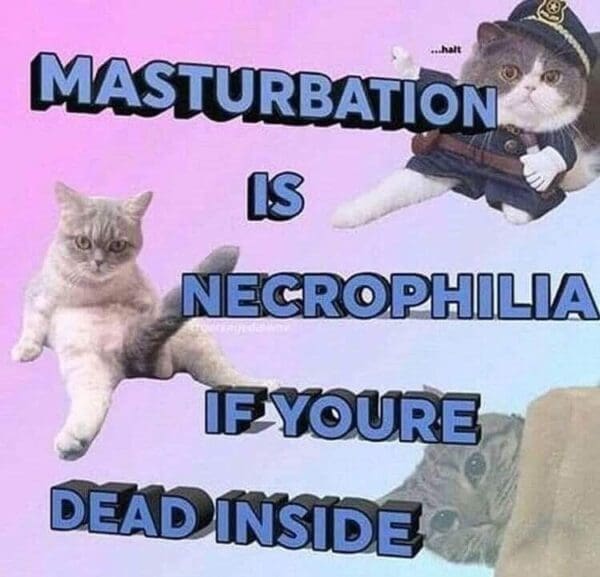 Dark Humor Memes: 43 Memes That Are Hilariously Bleak