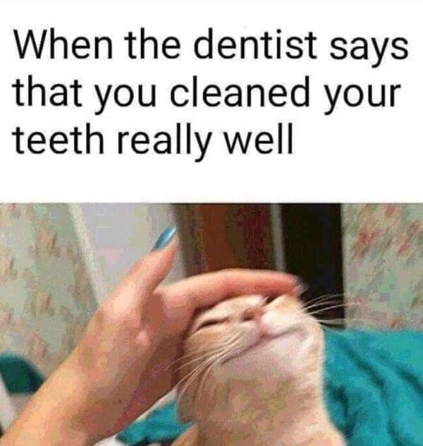 Dental Memes: 30 Hilarious Memes About the Dentist