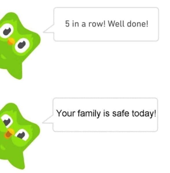 35 Duolingo Memes for Anyone Terrified of Losing Their Streak