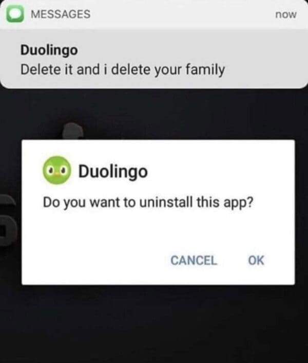 35 Duolingo Memes for Anyone Terrified of Losing Their Streak