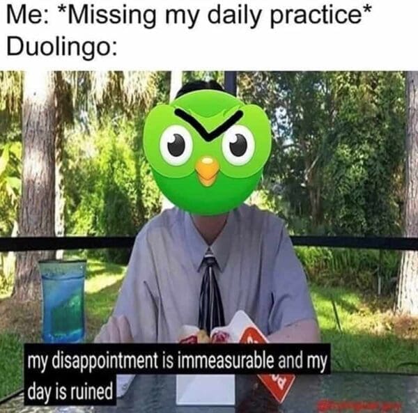 35 Duolingo Memes for Anyone Terrified of Losing Their Streak