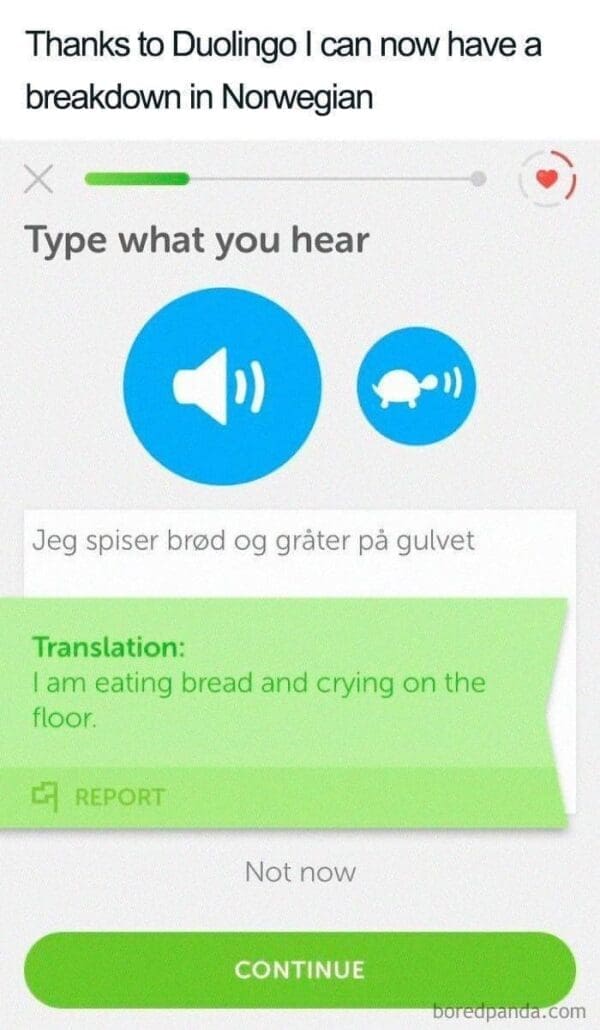 35 Duolingo Memes for Anyone Terrified of Losing Their Streak