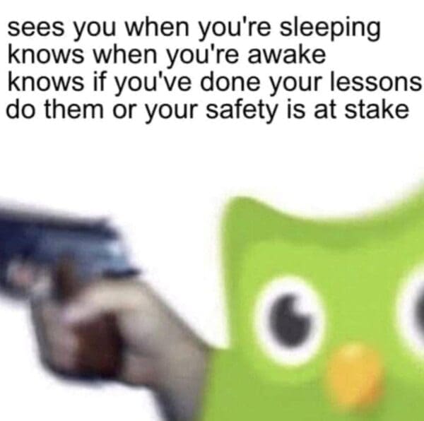 35 Duolingo Memes for Anyone Terrified of Losing Their Streak