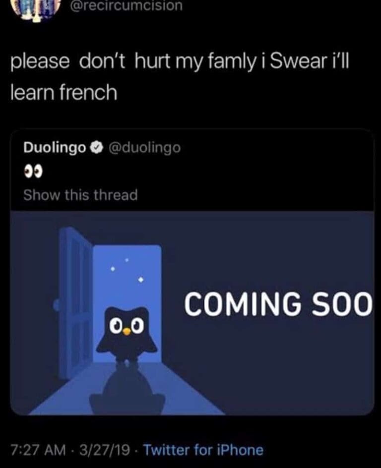 35 Duolingo Memes for Anyone Terrified of Losing Their Streak