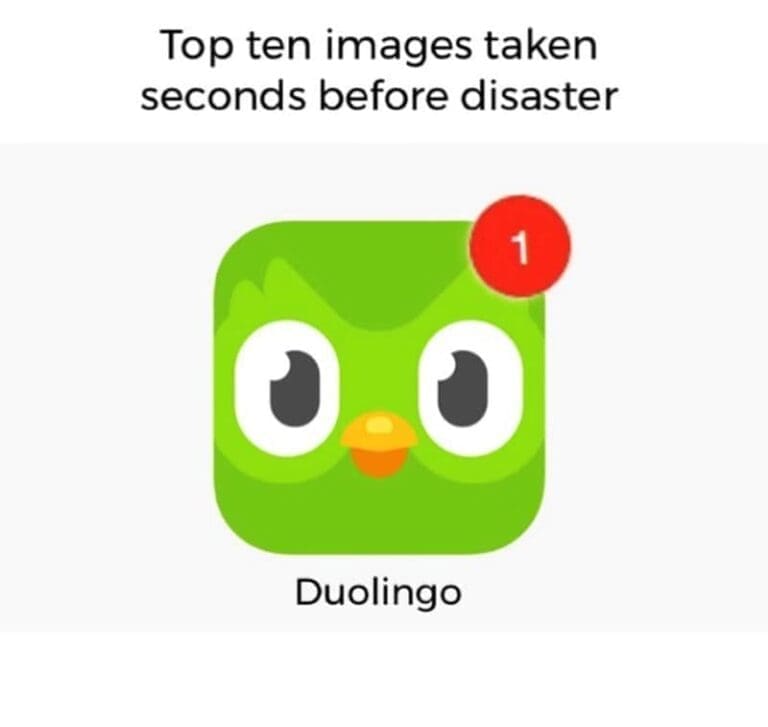 35 Duolingo Memes for Anyone Terrified of Losing Their Streak