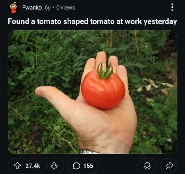 36 Wild Reddit Pics That Are Funnier Than They Have Any Right to Be