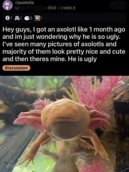 36 Wild Reddit Pics That Are Funnier Than They Have Any Right to Be