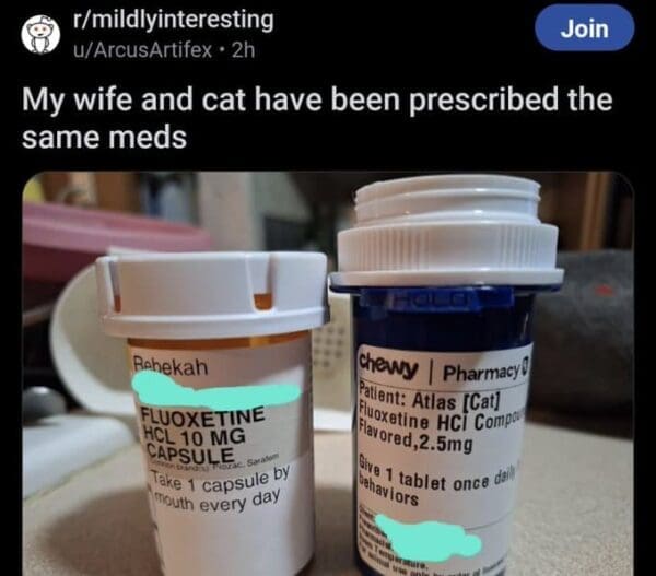 36 Wild Reddit Pics That Are Funnier Than They Have Any Right to Be