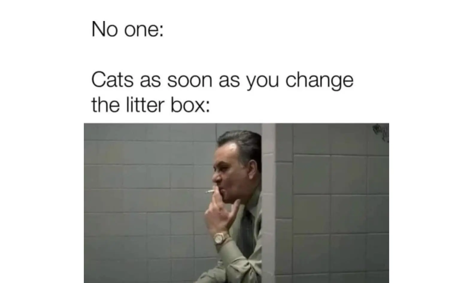 The Nightcap - 30 Nightly Funny Memes You Missed Probably Missed