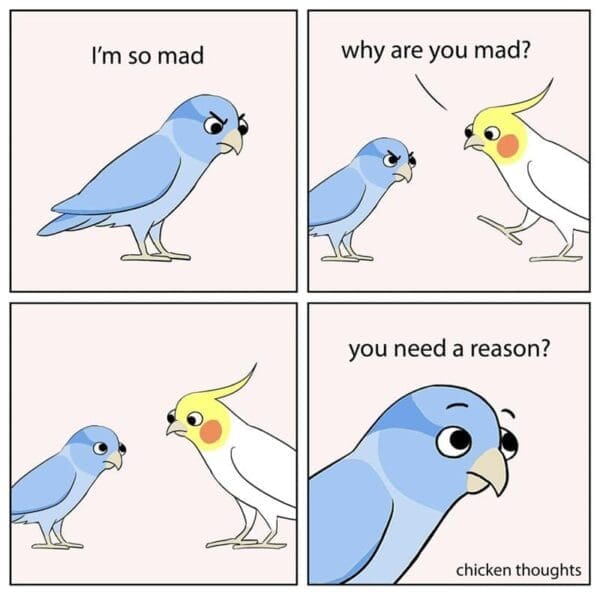 Grumpy Memes: 49 LoLs Capturing Your Moody Vibe Today