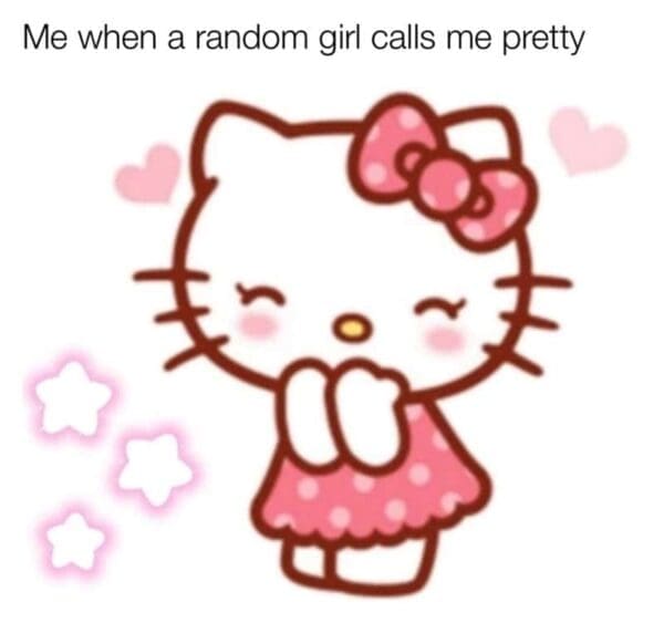 Hello Kitty Memes: 35 Hilarious Memes for Every Sanrio Fan