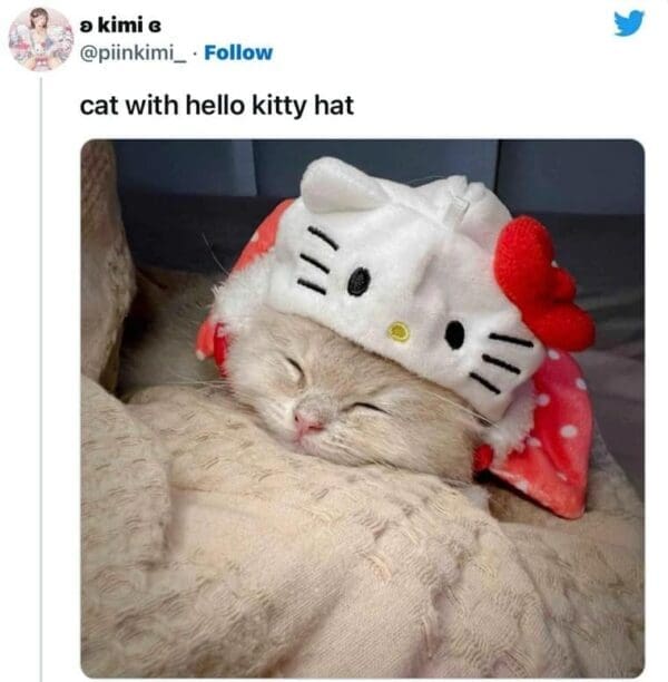 Hello Kitty Memes: 35 Hilarious Memes for Every Sanrio Fan