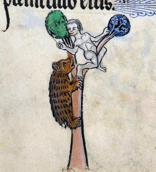Medieval Animals: 27 Bizarre Creatures from Medieval Art