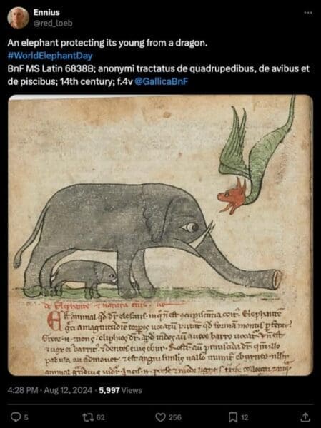 Medieval Animals: 27 Bizarre Creatures from Medieval Art