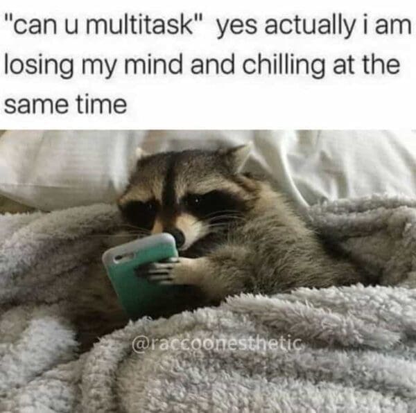 Raccoon Memes: 40 Chaotically Funny Raccoon Memes