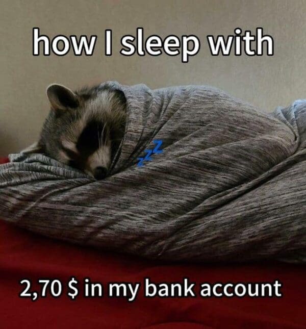 Raccoon Memes: 40 Chaotically Funny Raccoon Memes