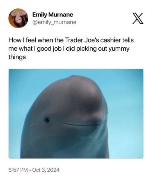 Smiling Dolphin Memes: 25 of the Newest Happy Meme