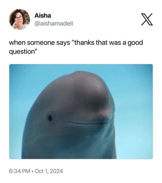 Smiling Dolphin Memes: 25 of the Newest Happy Meme