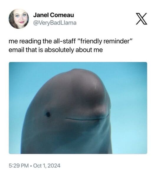 Smiling Dolphin Memes: 25 of the Newest Happy Meme