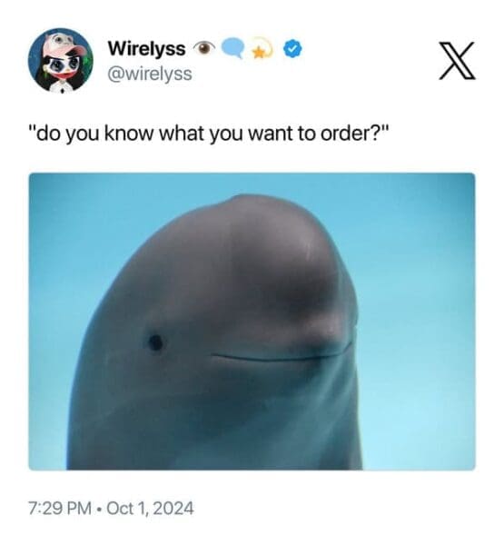 Smiling Dolphin Memes: 25 of the Newest Happy Meme