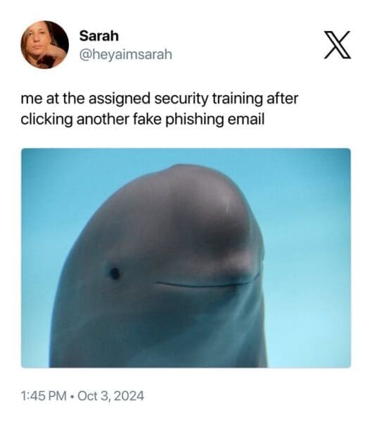 Smiling Dolphin Memes: 25 of the Newest Happy Meme