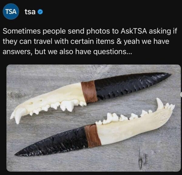 28 TSA Memes That Prove Airport Security Is the Worst Part of Traveling